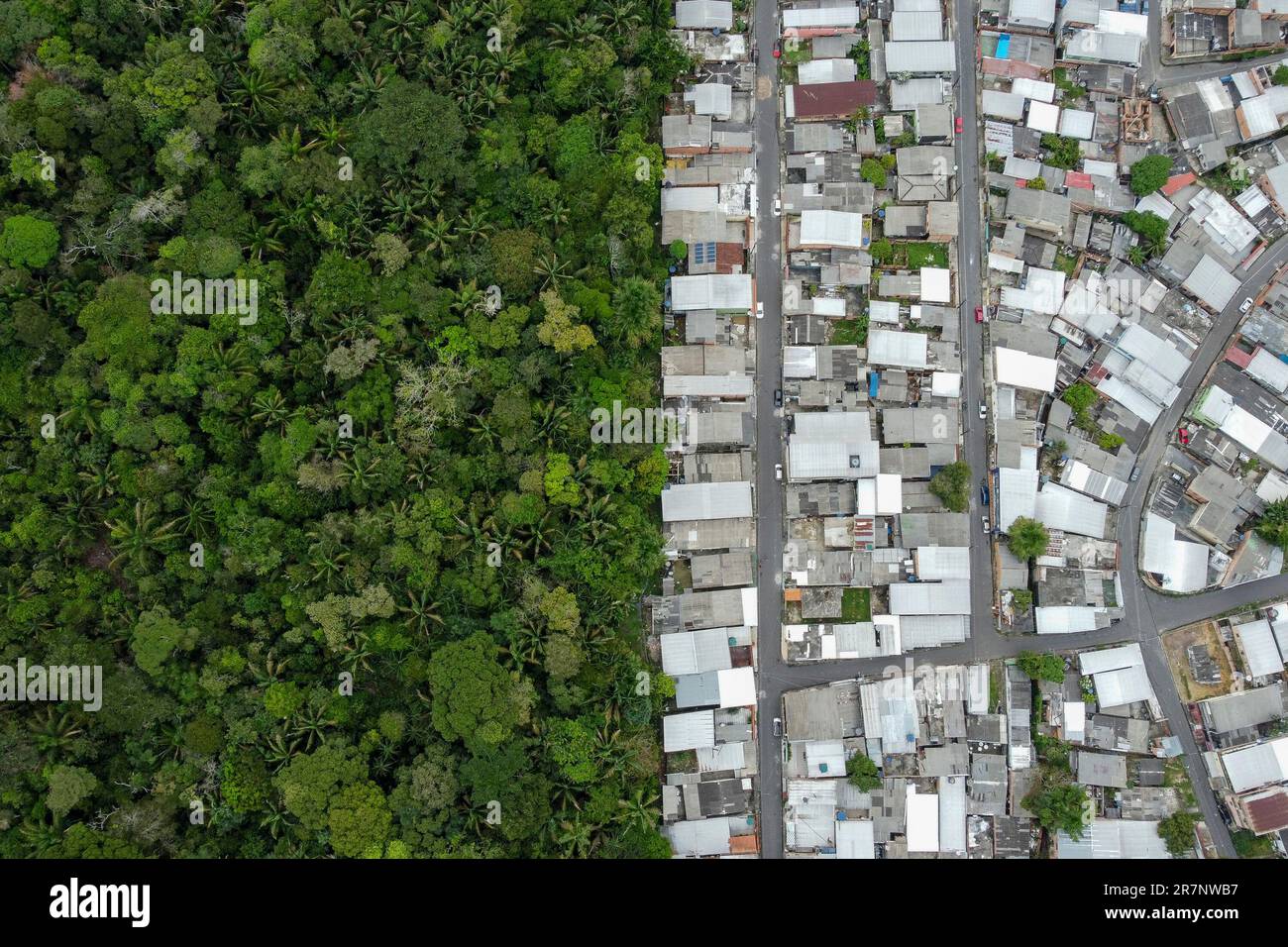 Manaus, Brazil. 16th June, 2023. AM - MANAUS - 06/16/2023 - MANAUS ...