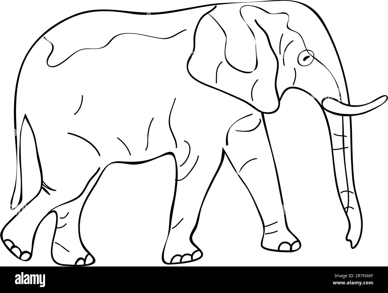 Elephant sketch Black and White Stock Photos & Images - Alamy