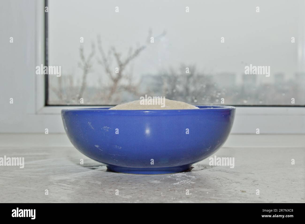 A pile of kneaded dough sprinkled with wheat flour lies in a blue bowl ...