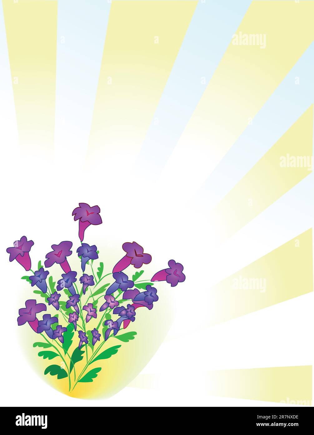 Ray of light on white flowers Stock Vector Images - Alamy