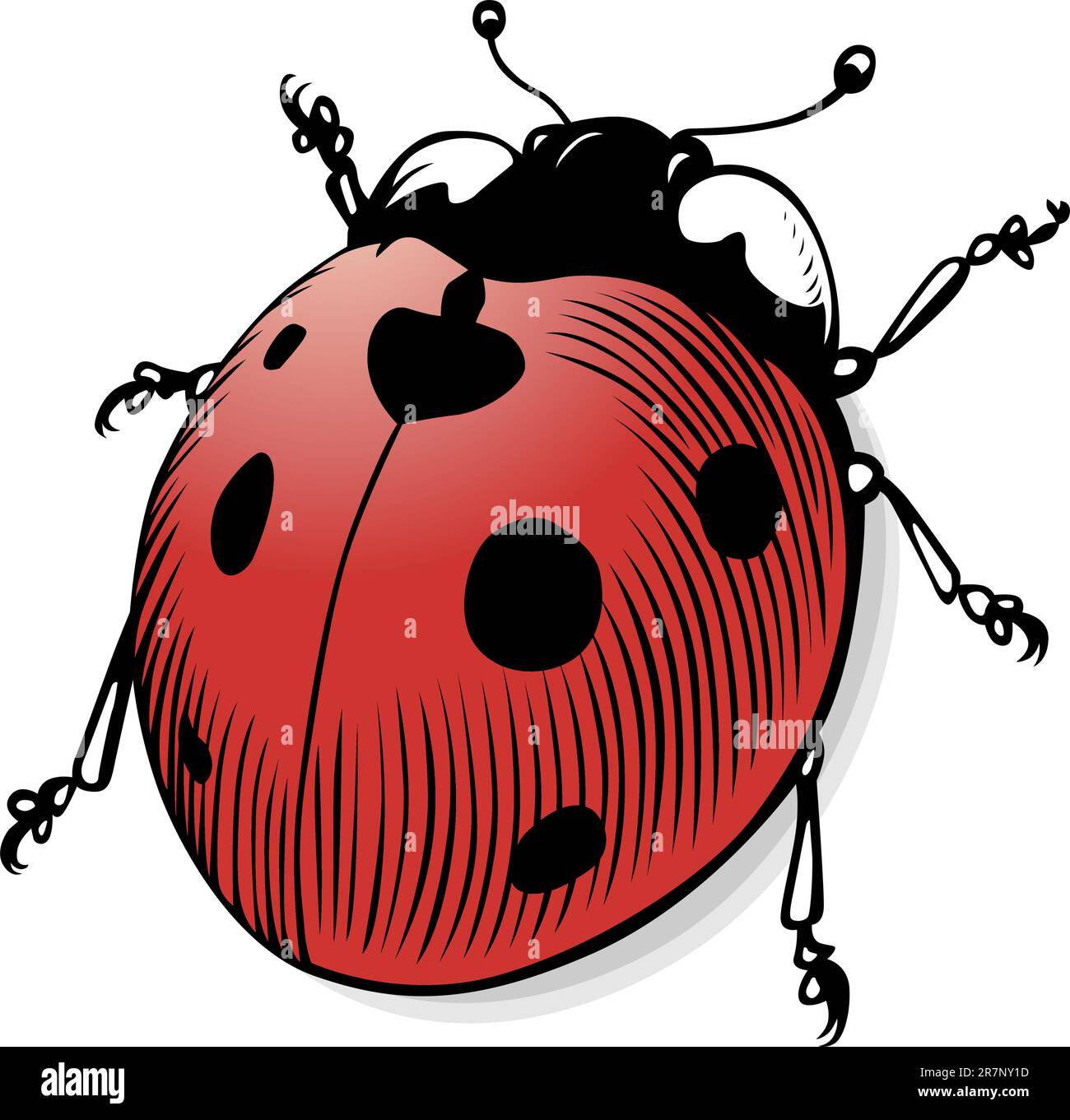 Ladybug silhouette hi-res stock photography and images - Alamy