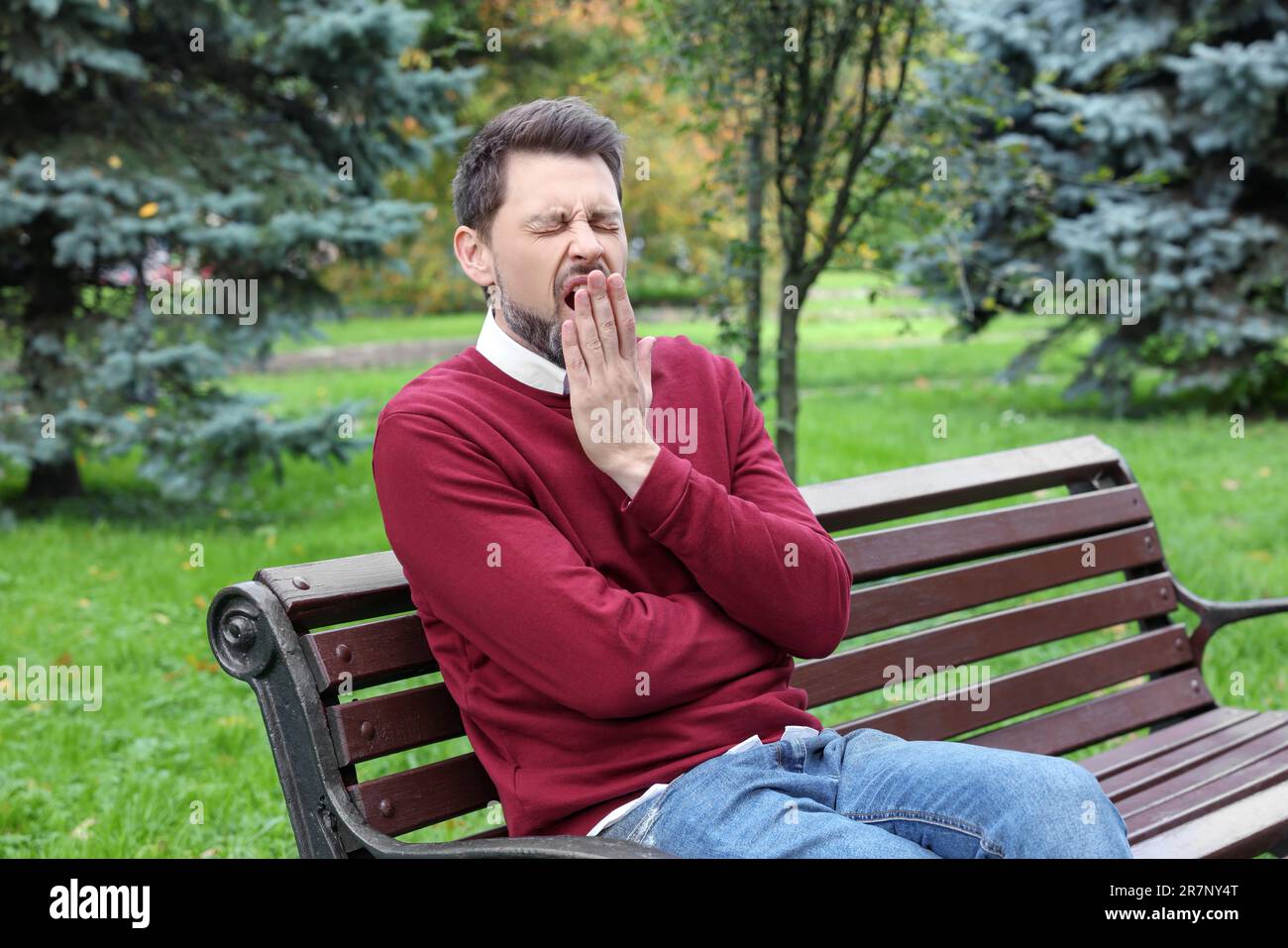 Sleepy tired man yawning on bench in beautiful green park Stock Photo ...