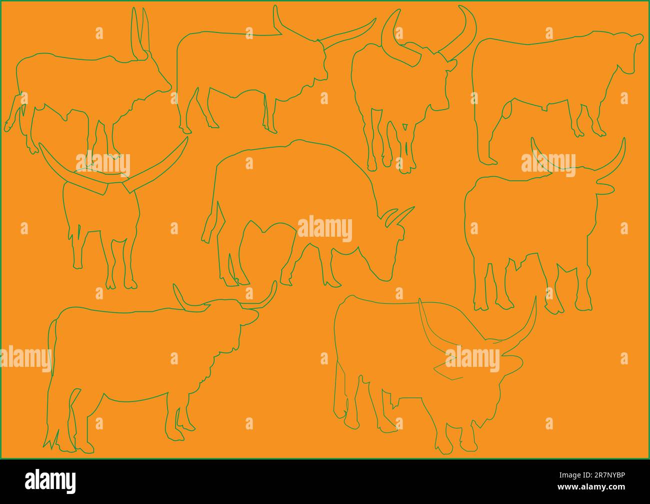 cattle illustration collection - vector Stock Vector Image & Art - Alamy cattle illustration collection - vector Stock Vector Image & Art - Alamy
