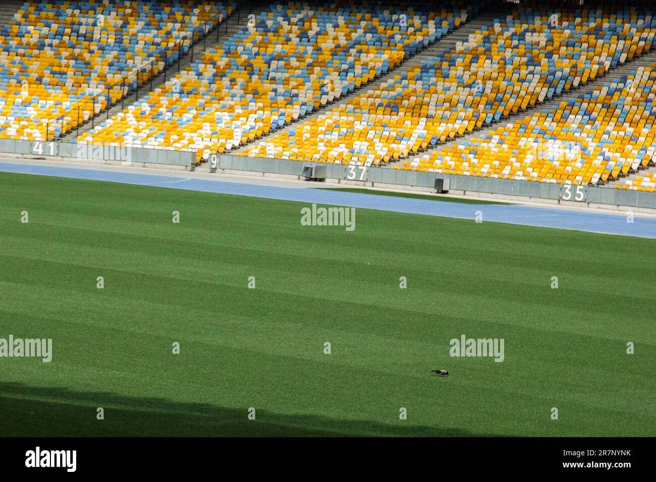 soccer stadium inside view. football field, empty stands, a crowd of ...