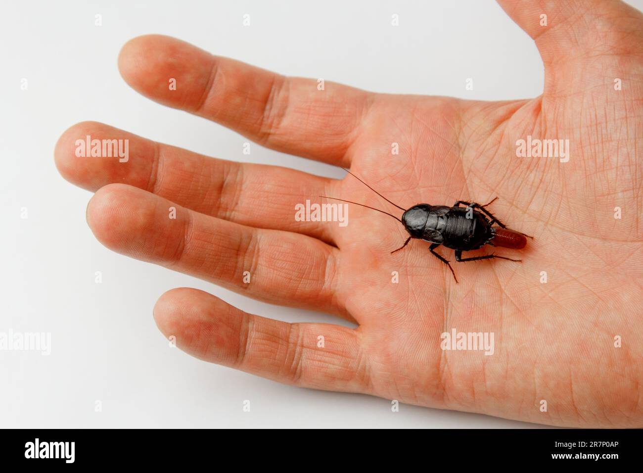 Germs hand ultra hi-res stock photography and images - Alamy