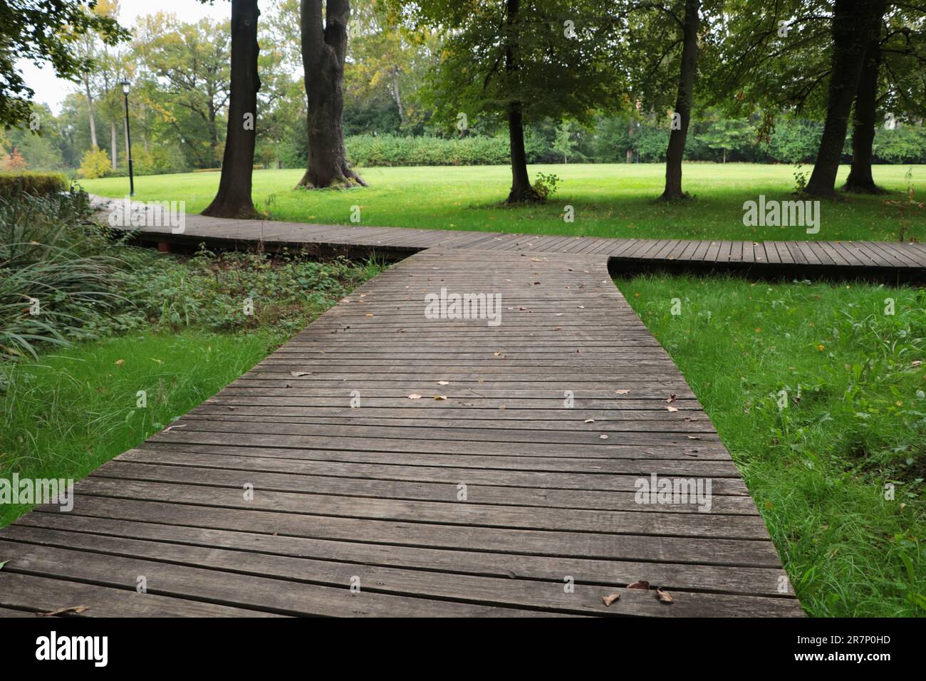 Beautiful public city park with pathway and green grass Stock Photo - Alamy