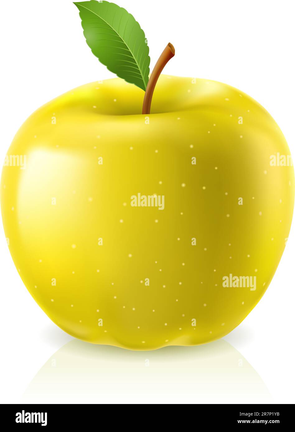 Yellow apple. Illustration on white background Stock Vector Image & Art ...
