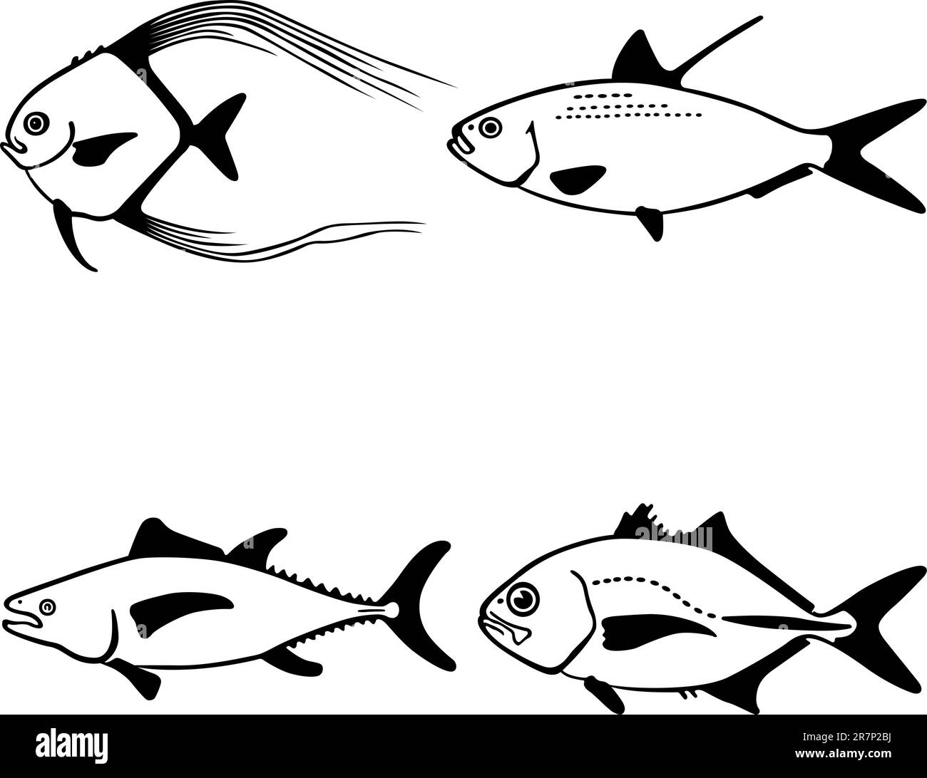 Fish on white background Stock Vector Image & Art - Alamy