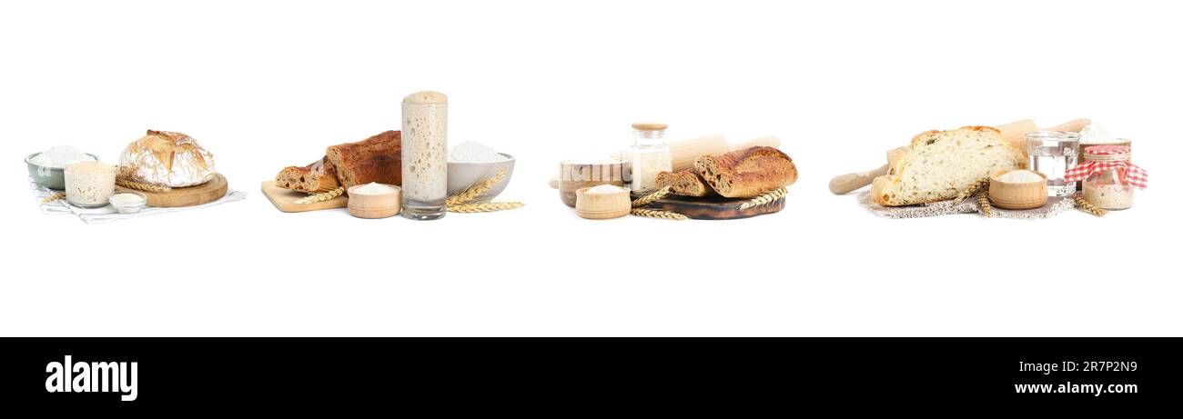 Collage with sourdough starter and different freshly baked bread ...