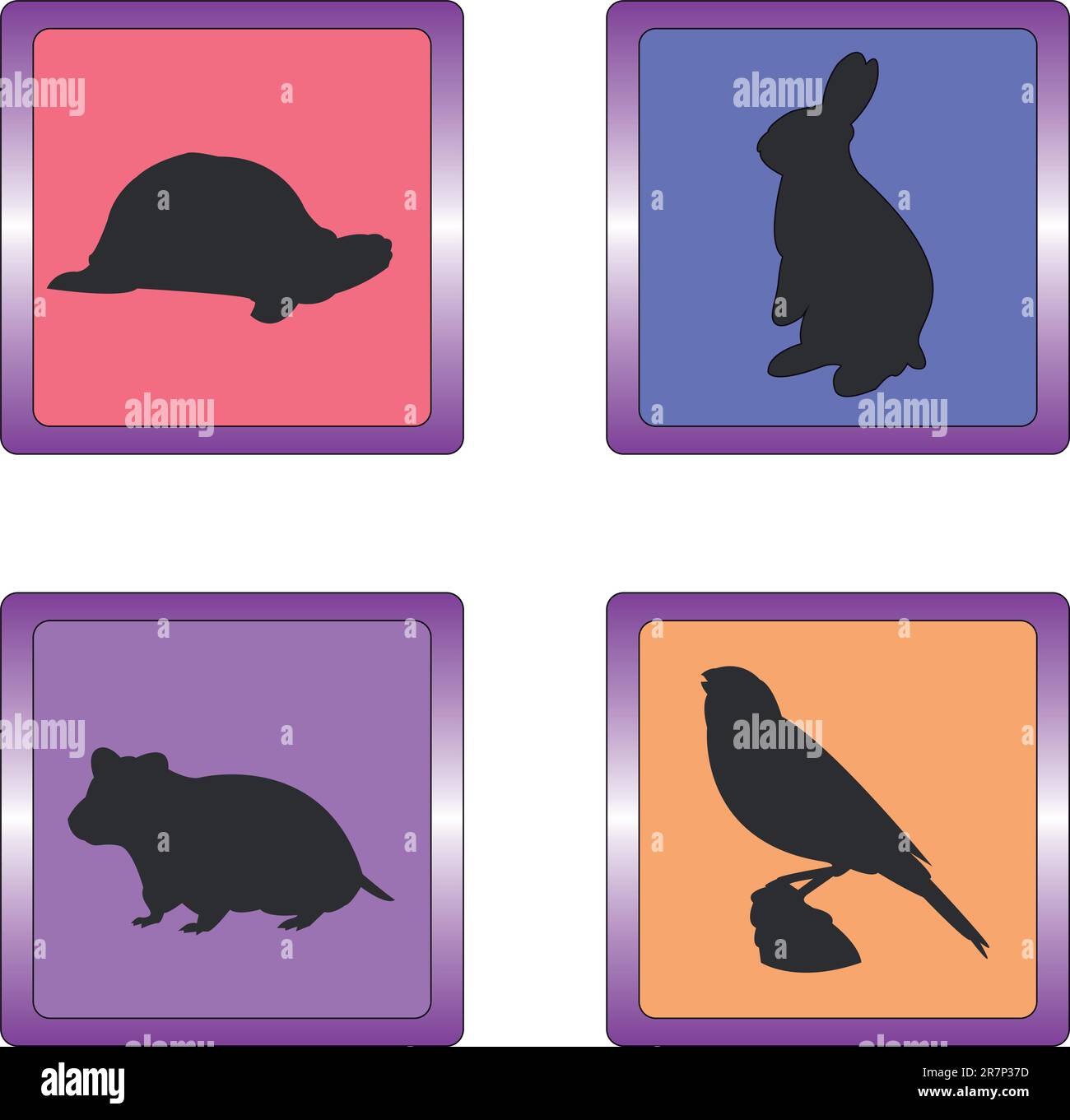 Rabbit and turtle hi-res stock photography and images - Alamy