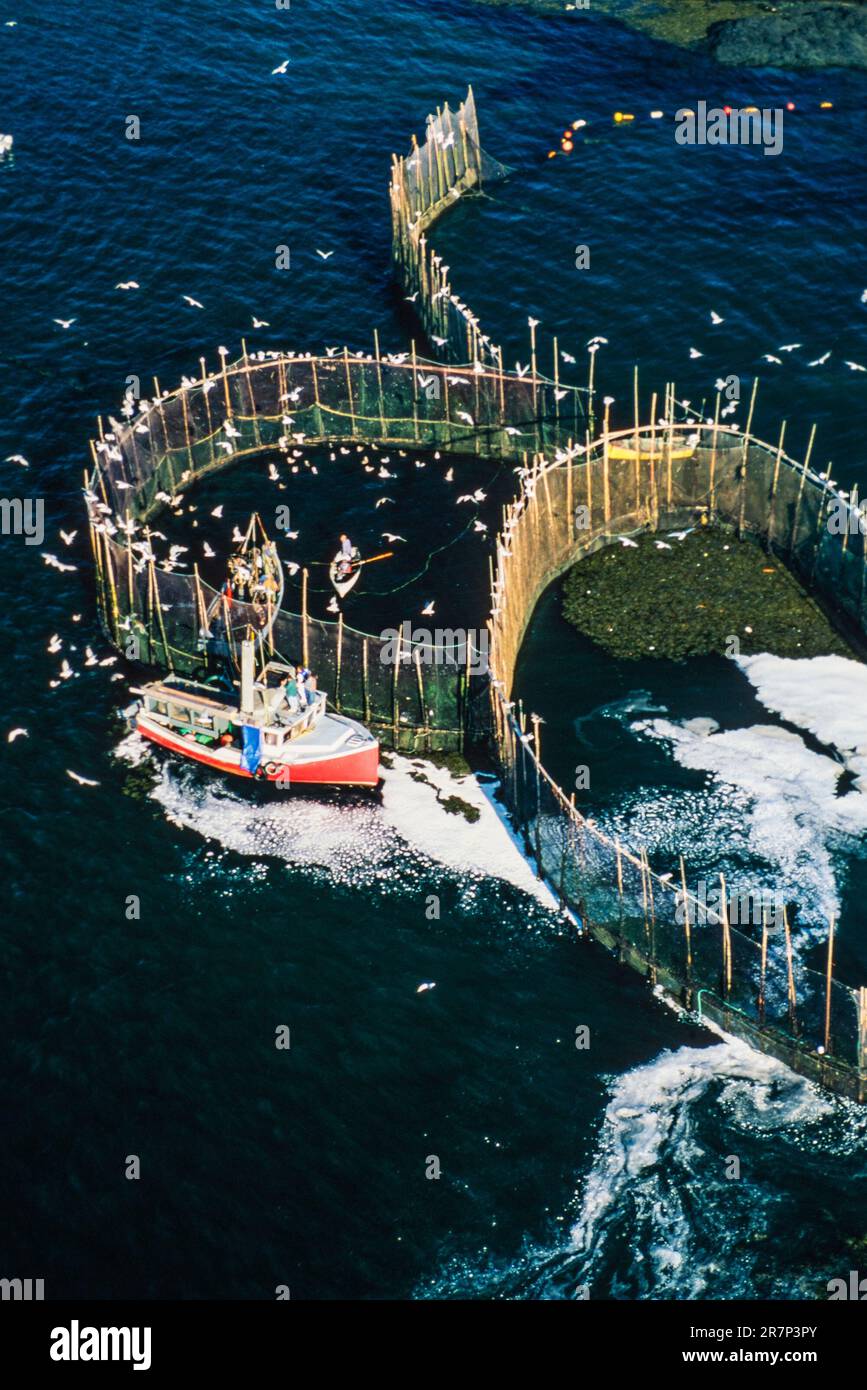 Campobello island new brunswick hi-res stock photography and images - Alamy