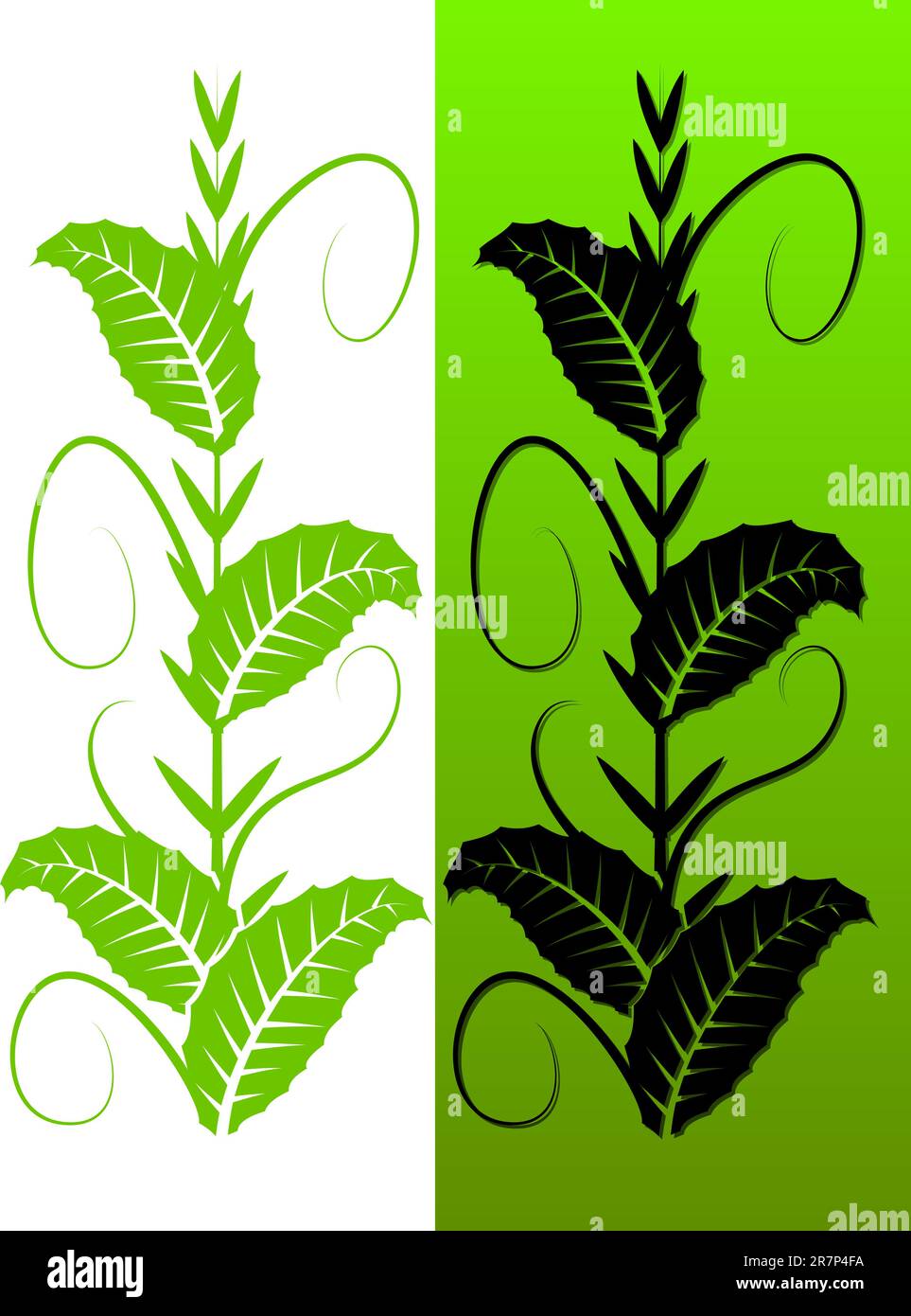 vibrant vertical foliage design Stock Vector Image & Art - Alamy