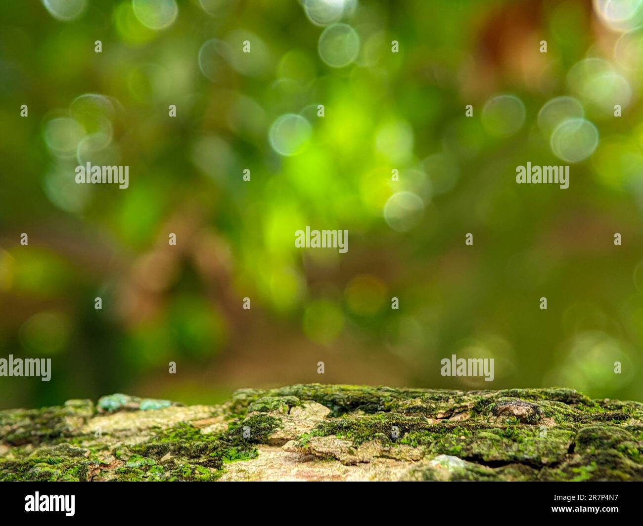 Old wooden writing trunk hi-res stock photography and images - Alamy