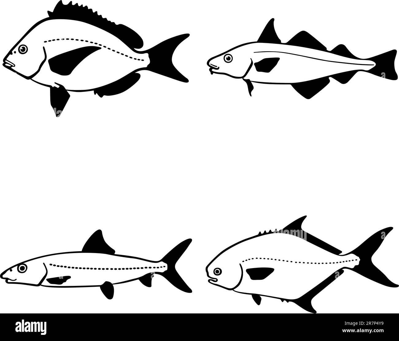 Fish on white background Stock Vector Image & Art - Alamy