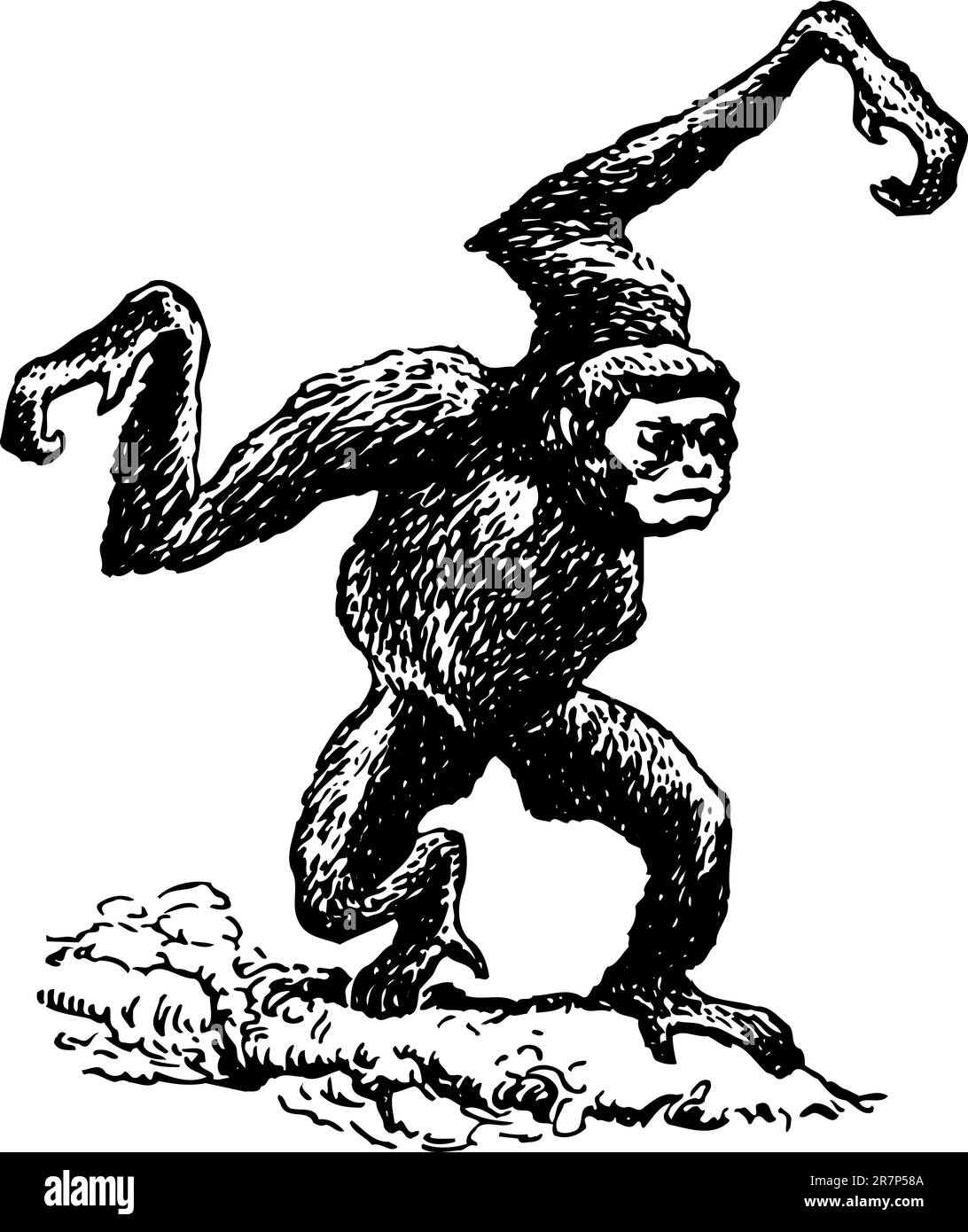 Monkey image art Cut Out Stock Images & Pictures - Alamy