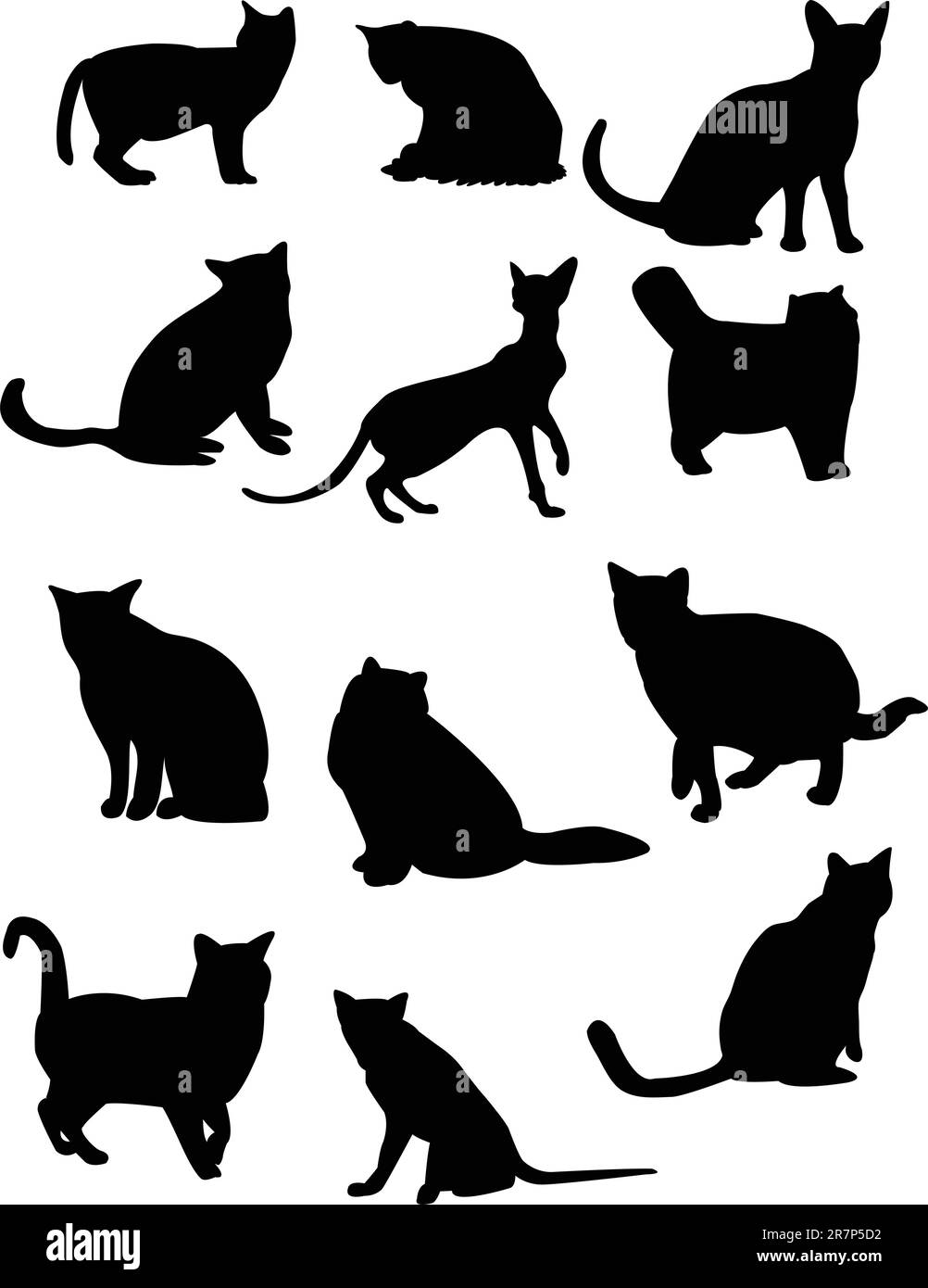 Cat scratch black silhouette Black and White Stock Photos & Images - Alamy