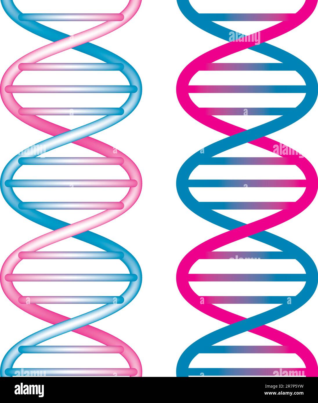 Seamless DNA Symbol on white background. Vector Illustration Stock ...