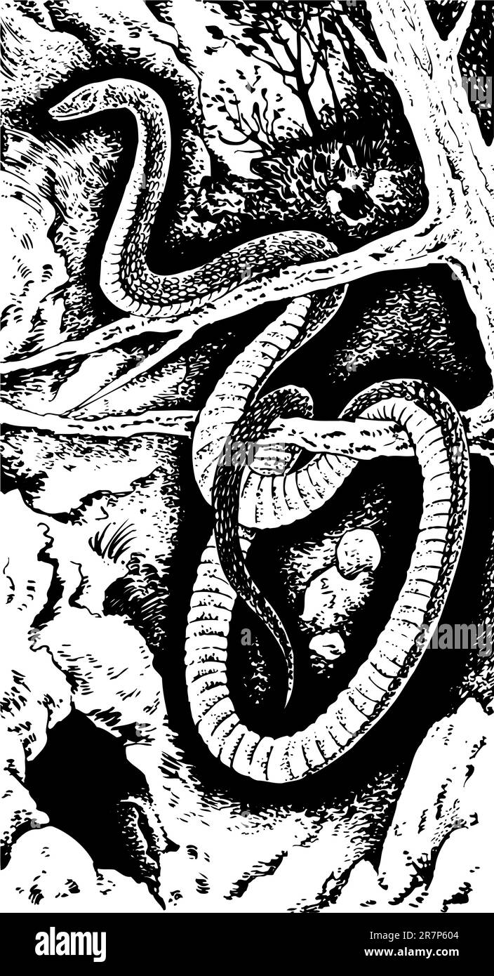 Snake on the tree Stock Vector Image & Art - Alamy