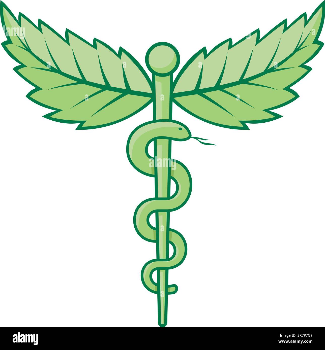 Single snake caduceus with mint leaves isolated on white background ...