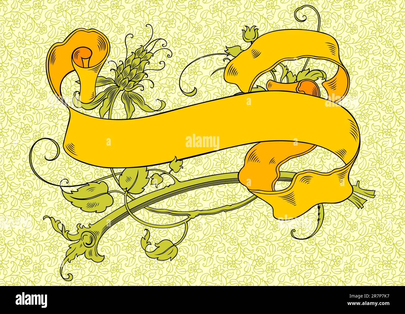 Elegance frame on white Stock Vector Image & Art - Alamy