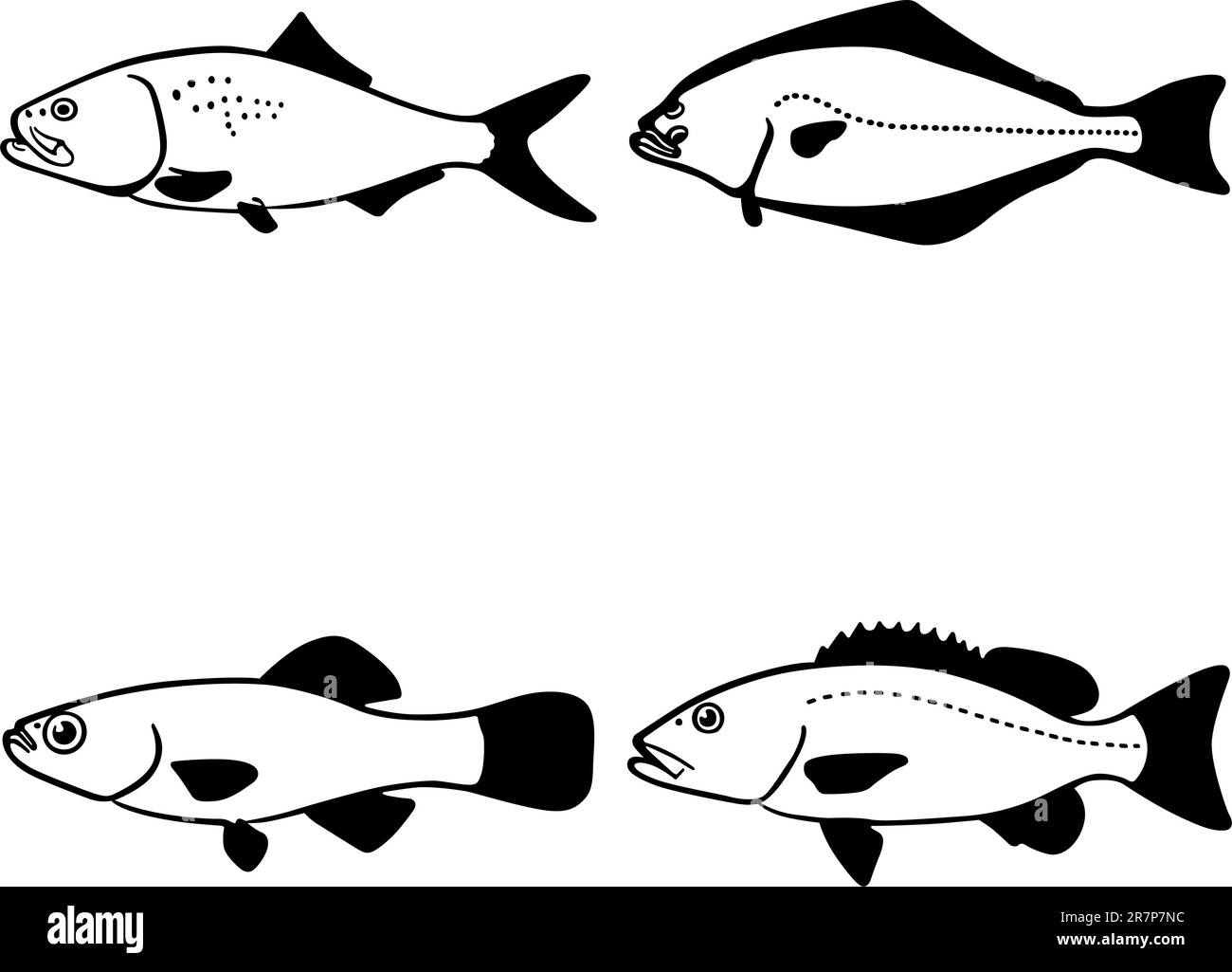 Fish on white background Stock Vector Image & Art - Alamy