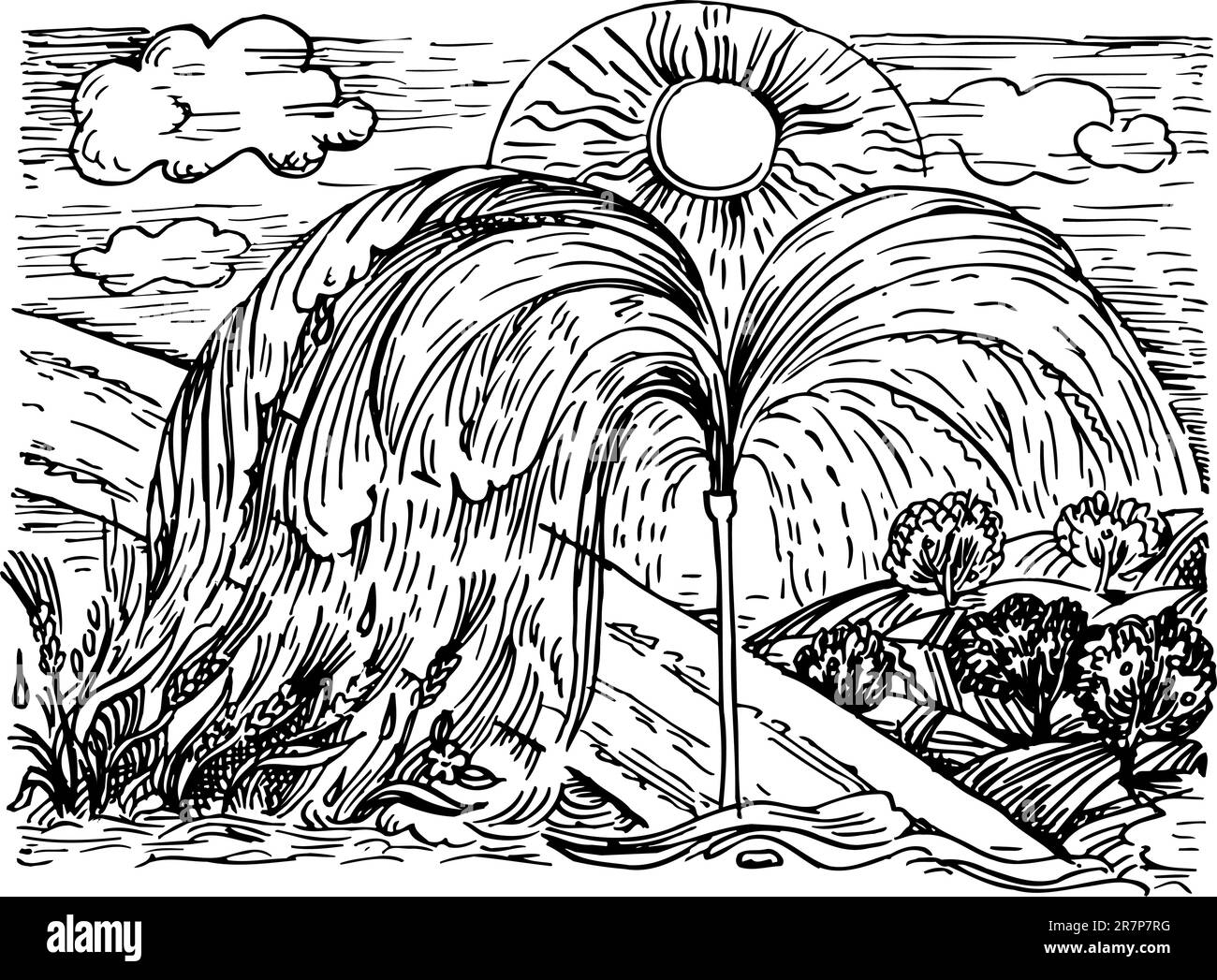 Field in the sun Cut Out Stock Images & Pictures - Alamy