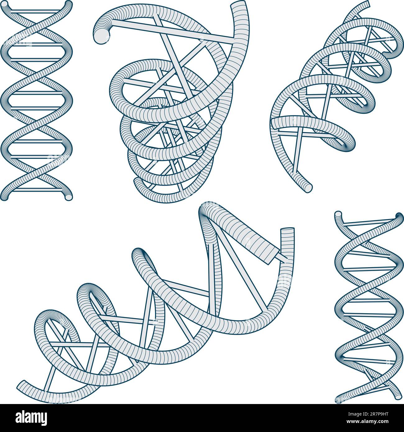 Set of DNA Symbols on white background. Vector Illustration Stock ...