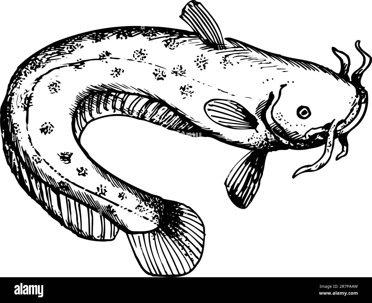 Keli Fish