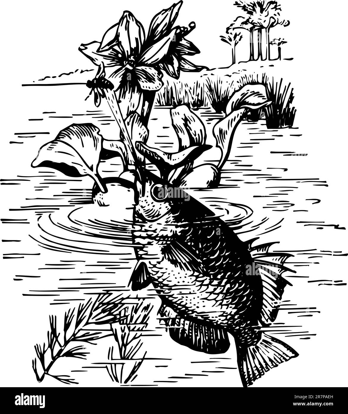 Fish catching fly Stock Vector Image & Art - Alamy