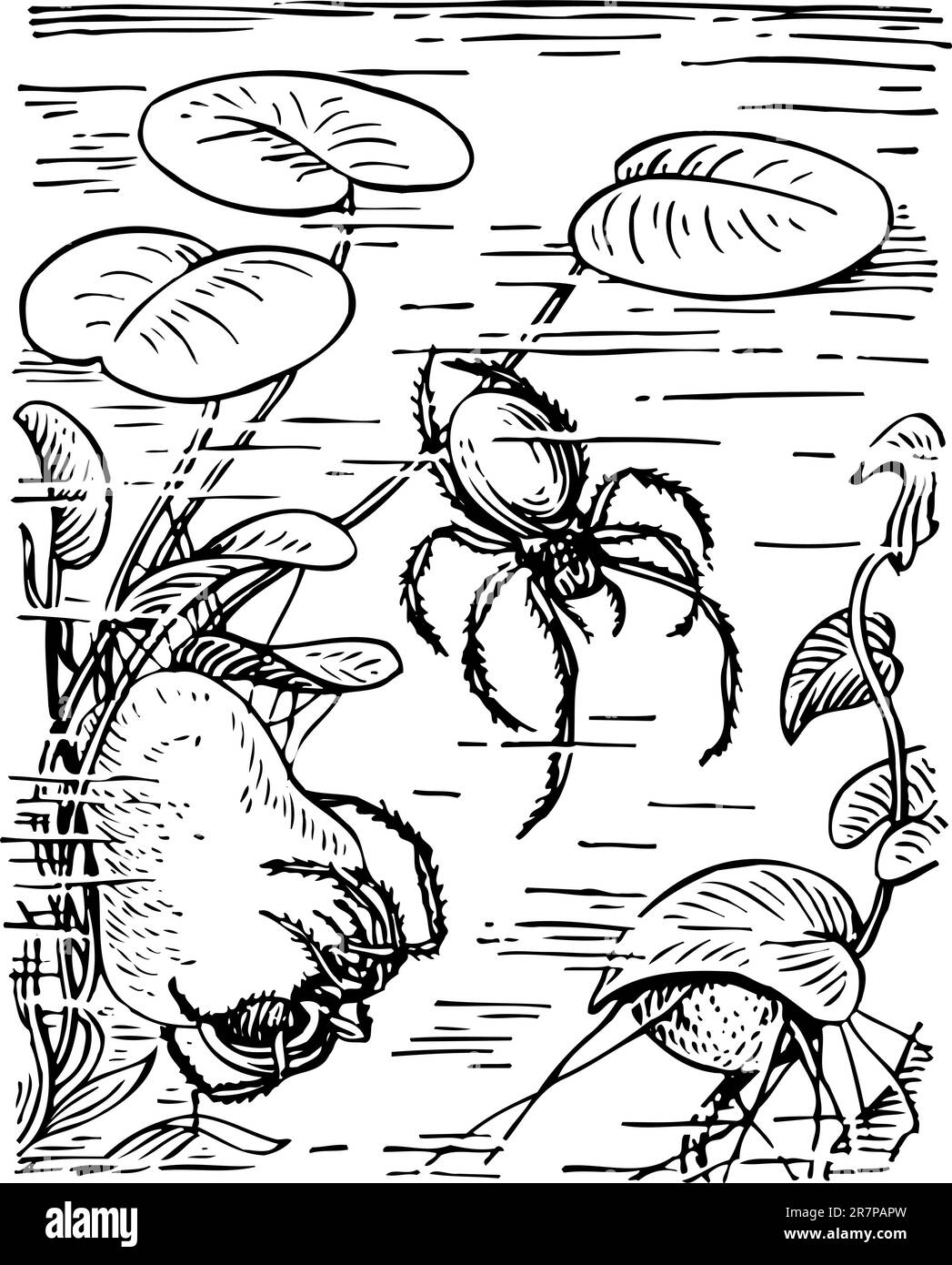 Water insects in the river Stock Vector Image & Art - Alamy