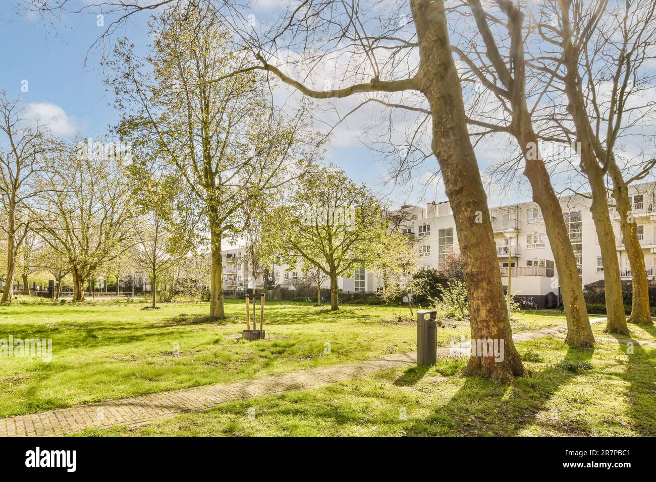 an urban park with trees and buildings in the background, taken on a ...