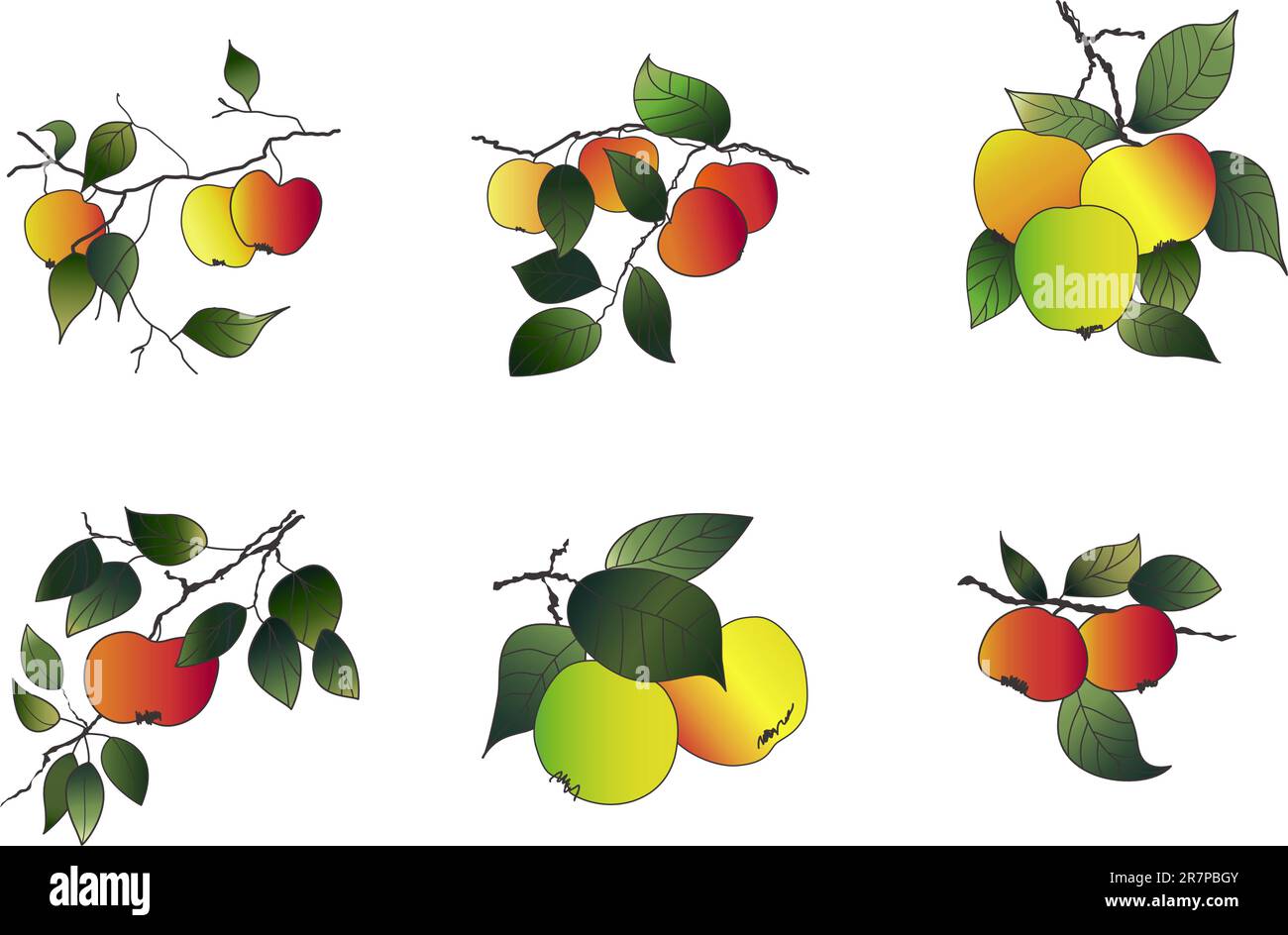 drawing apples set Stock Vector Image & Art - Alamy