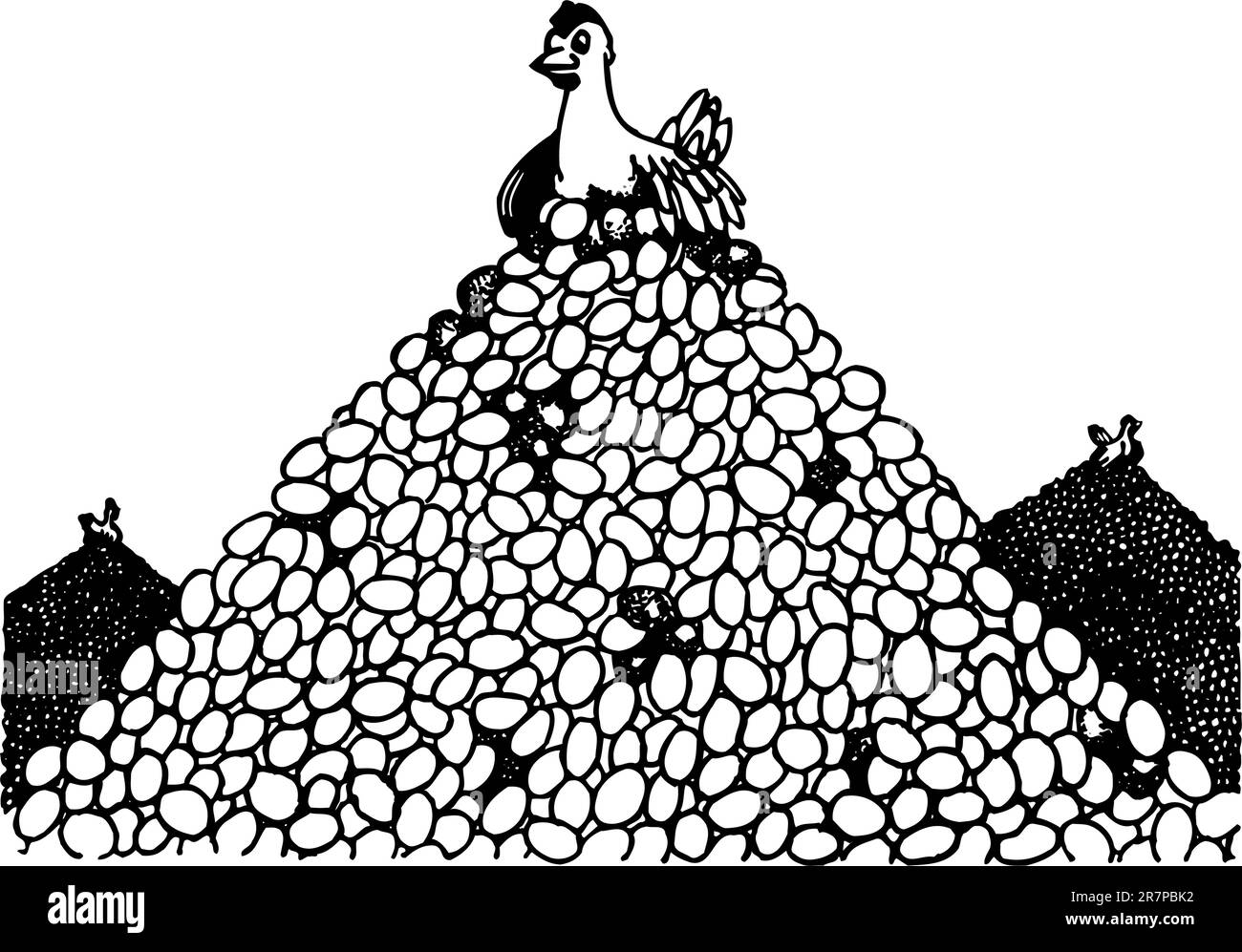 Egg laying hens Stock Vector Images - Alamy