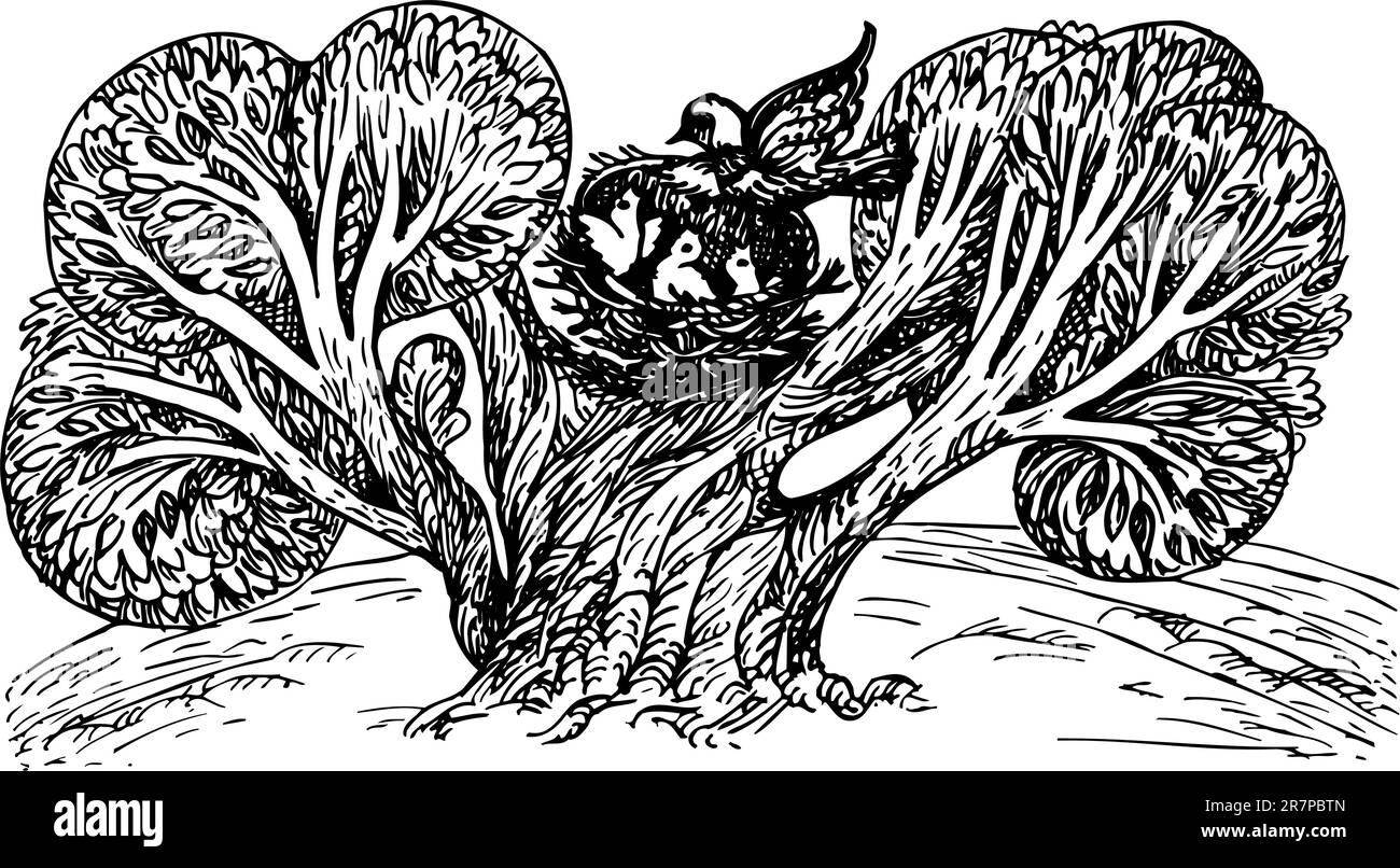 Birds nestled Stock Vector Images - Alamy