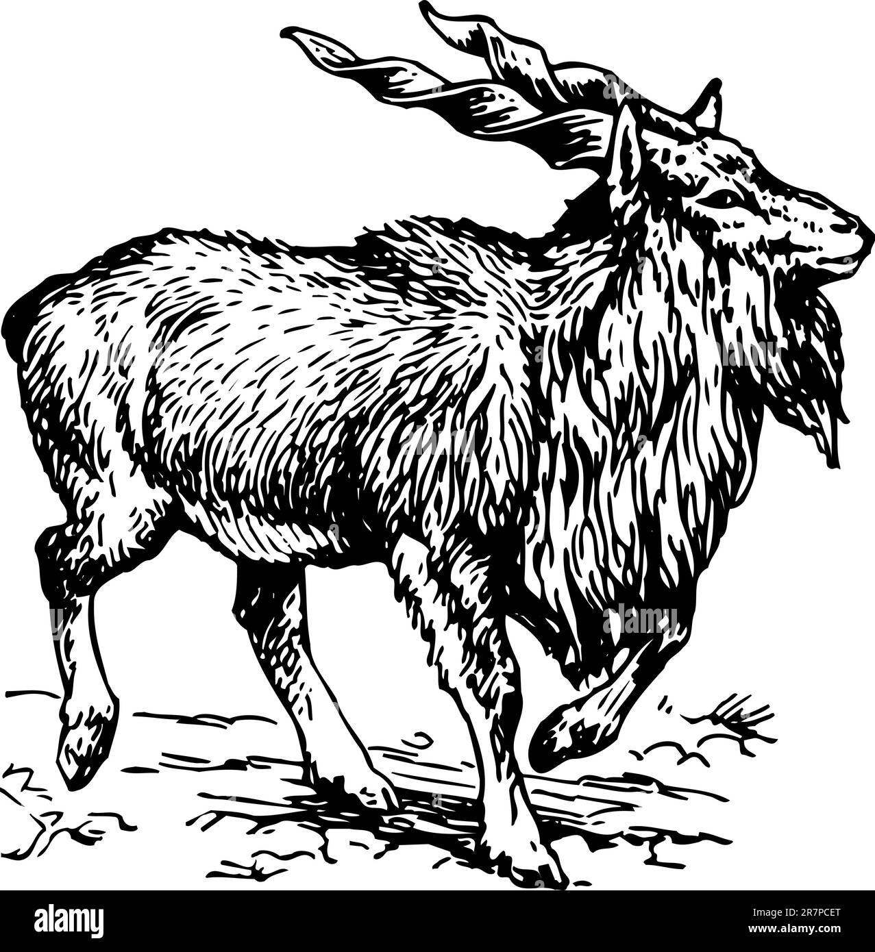 Side view natural male Stock Vector Images - Alamy