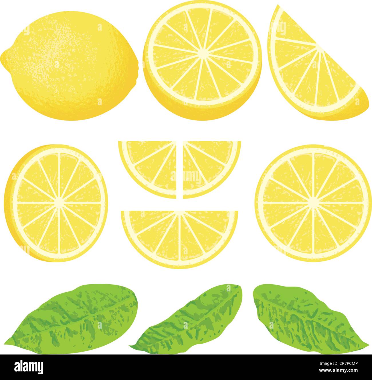 A whole lemon and slices at different angles, also three versions of ...