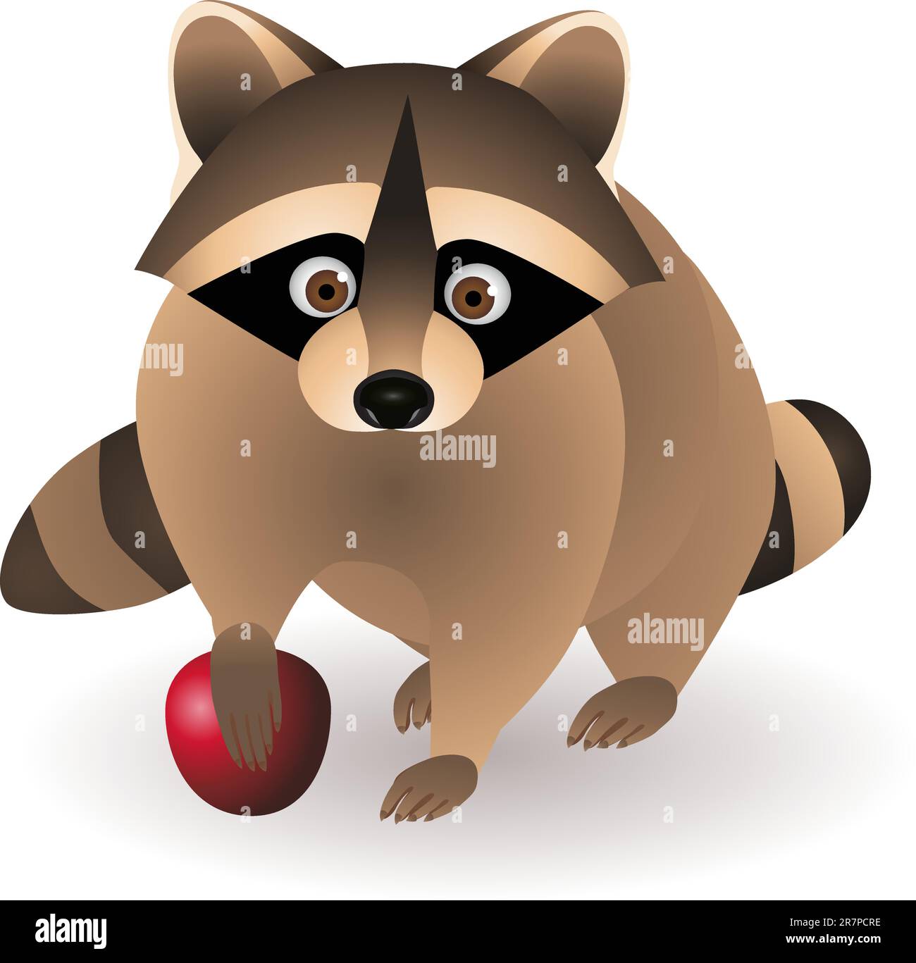 Clipart raccoon Stock Vector Images - Alamy