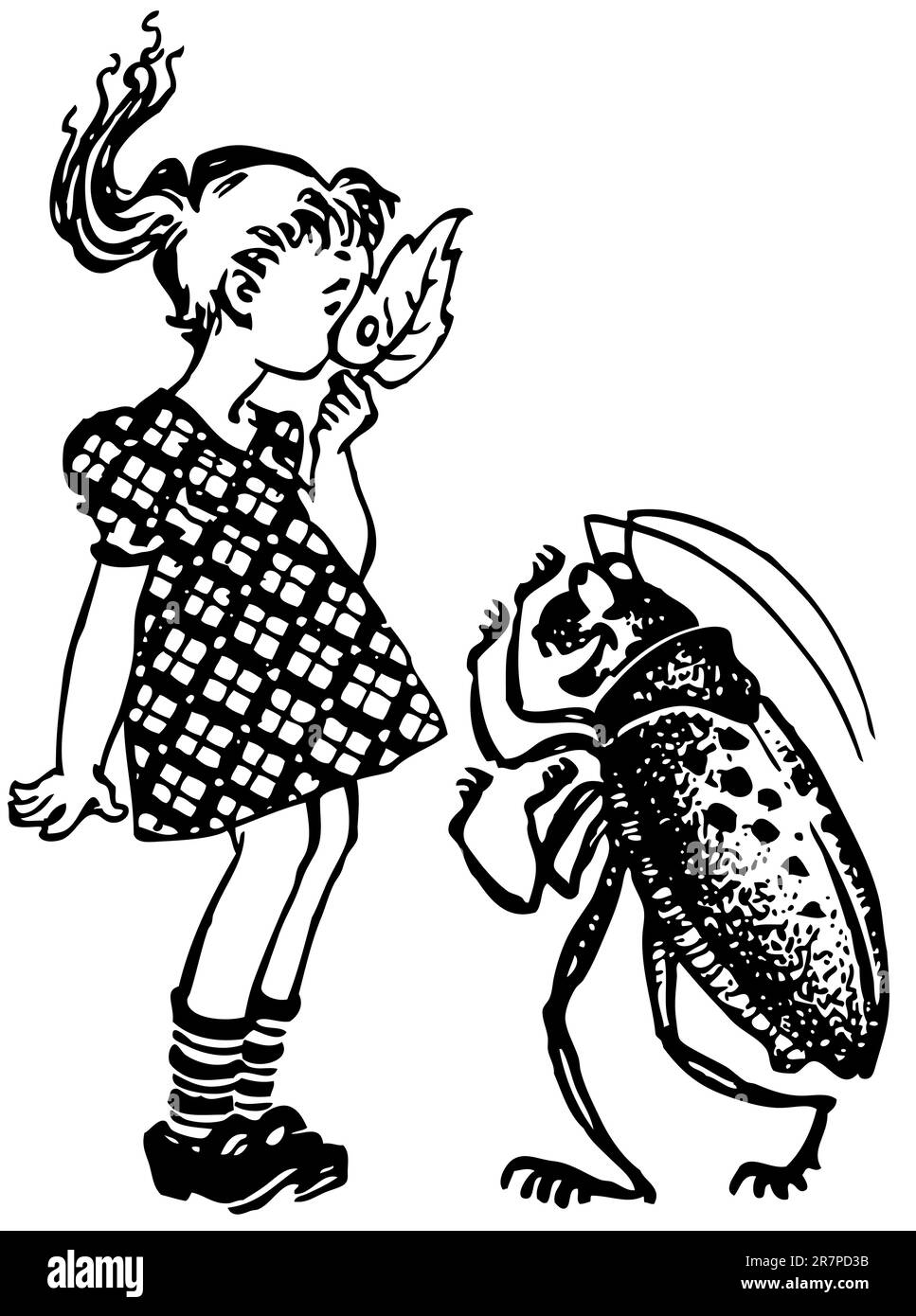 Beetle female Black and White Stock Photos & Images - Alamy