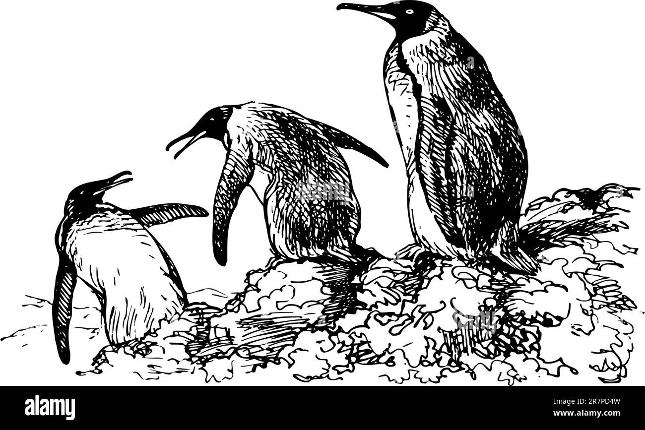 Walking penguins Stock Vector Images - Alamy