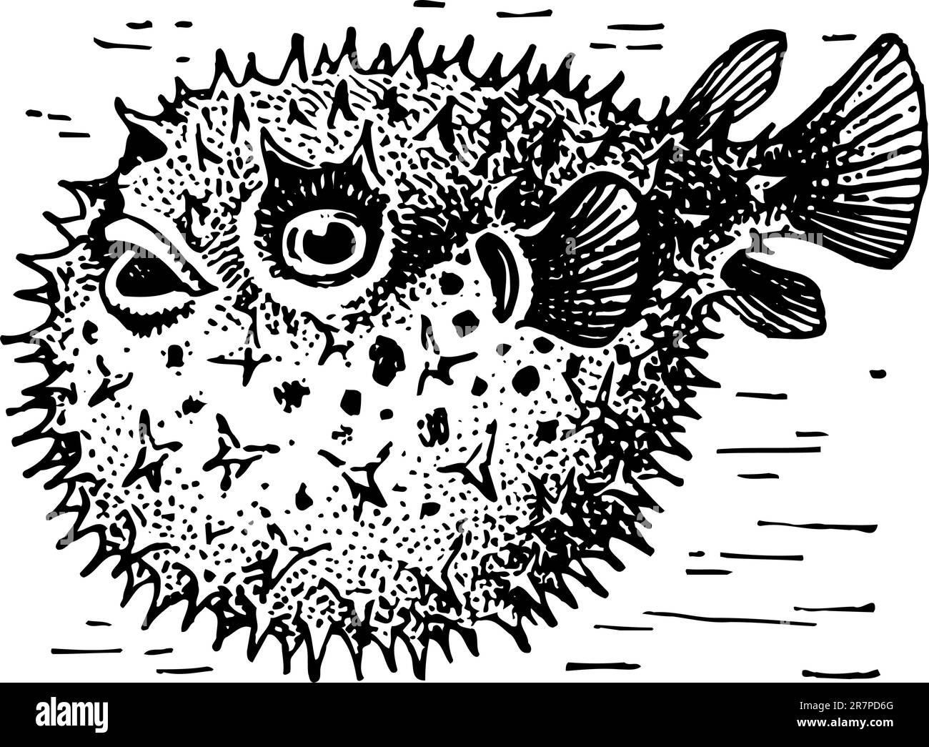 Exotic fish in natural Stock Vector Images - Alamy