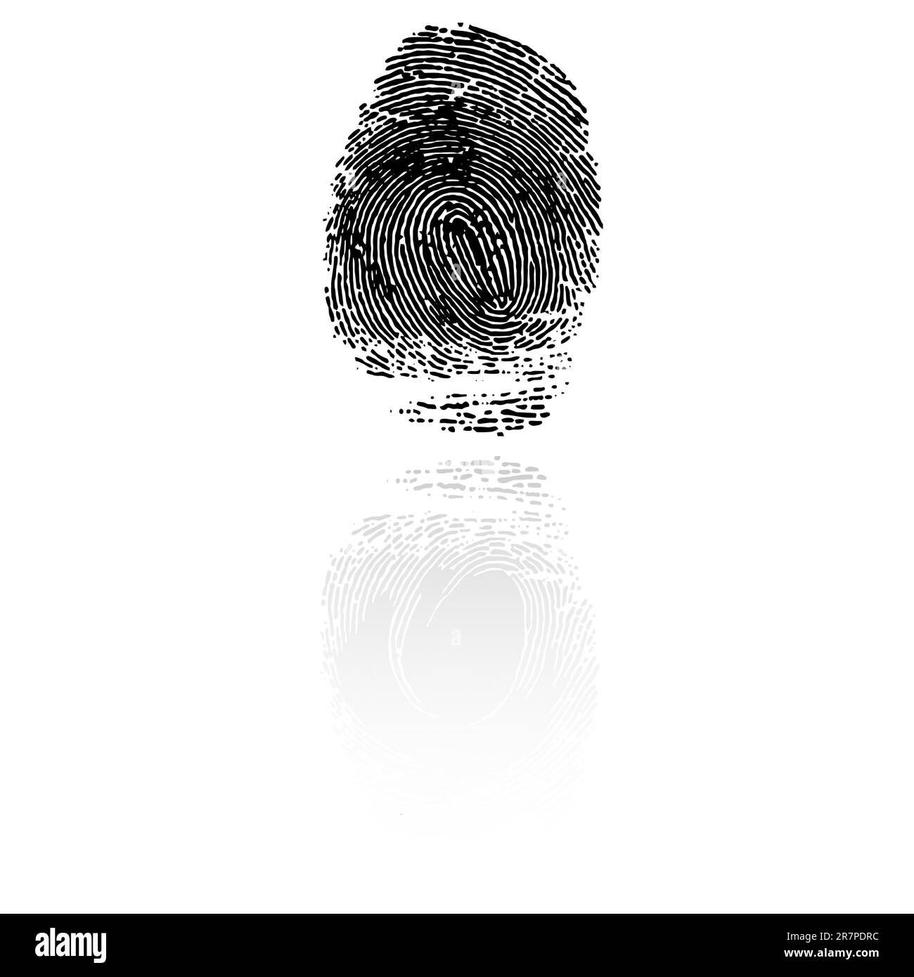 imprint of index finger on a white background.vector Stock Vector Image ...