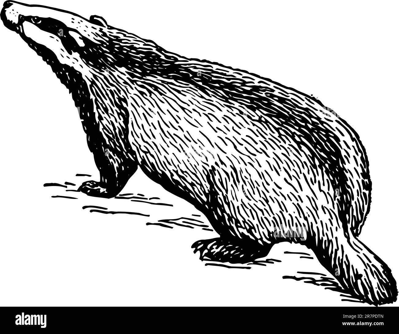 Bröck Stock Vector Images - Alamy