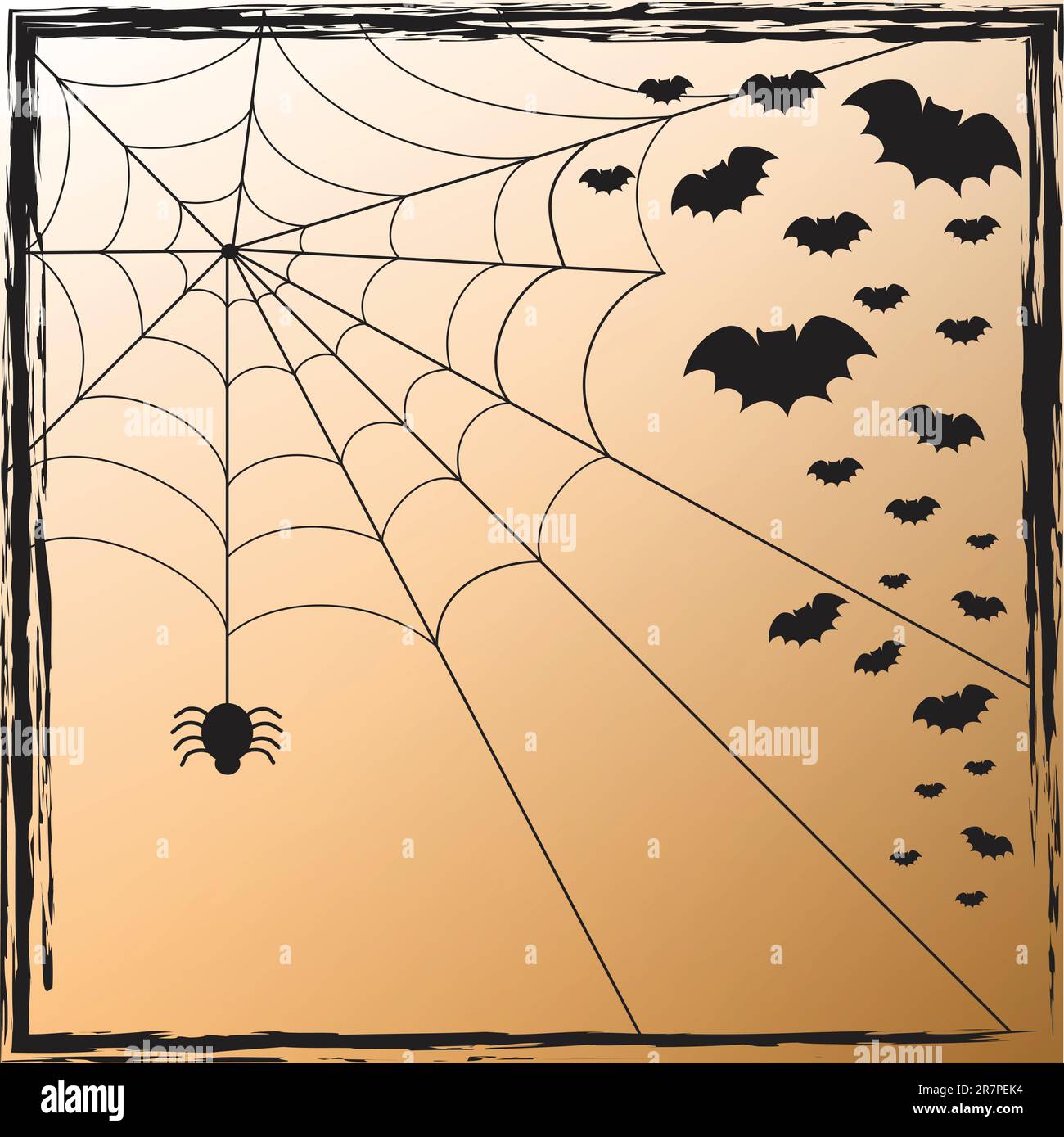 Harvest spider hi-res stock photography and images - Alamy