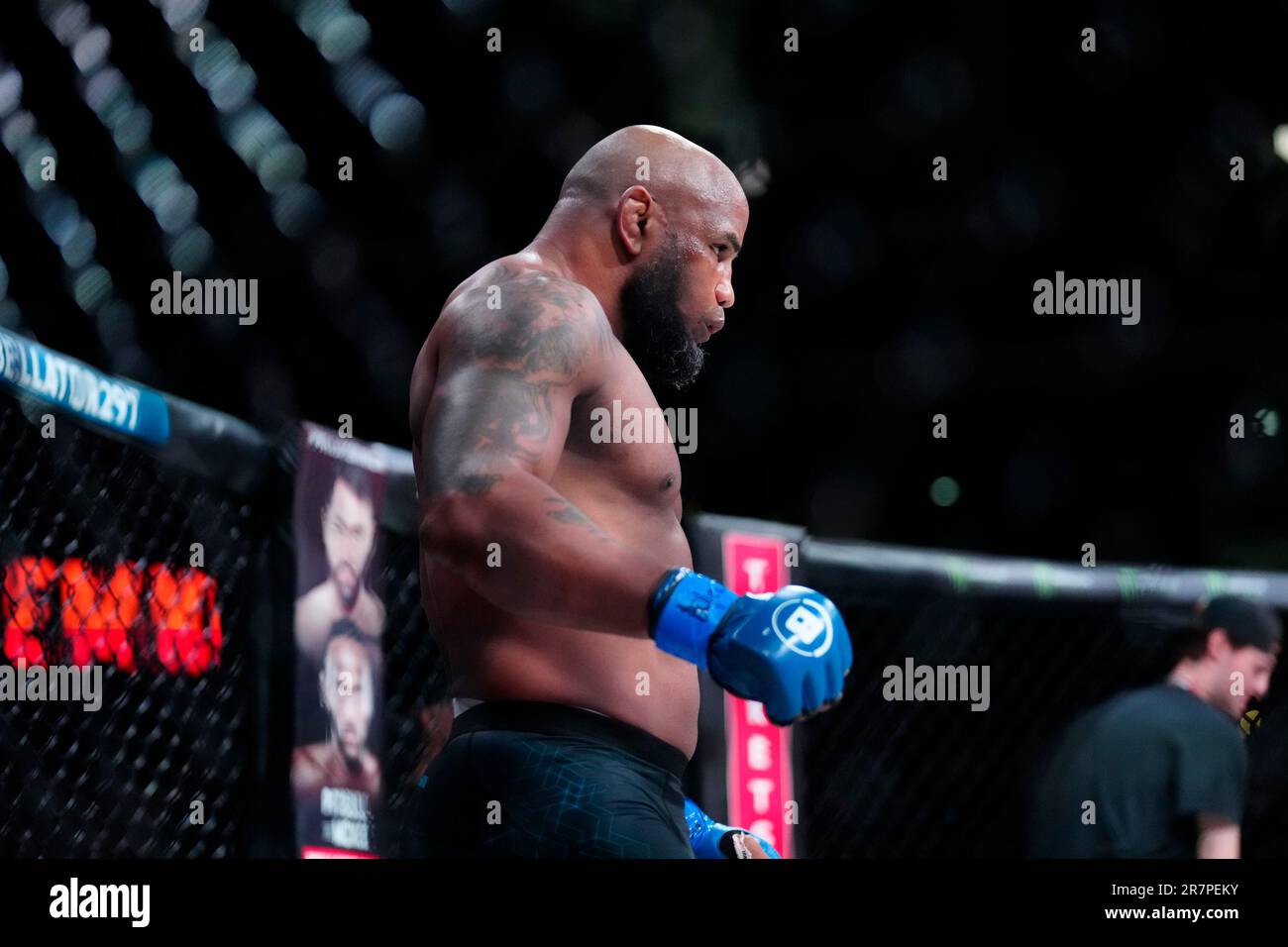 Yoel romero hi-res stock photography and images - Alamy