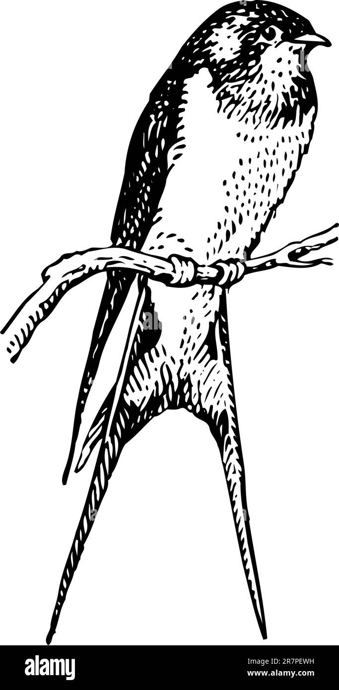 Bird protection Stock Vector Images - Alamy