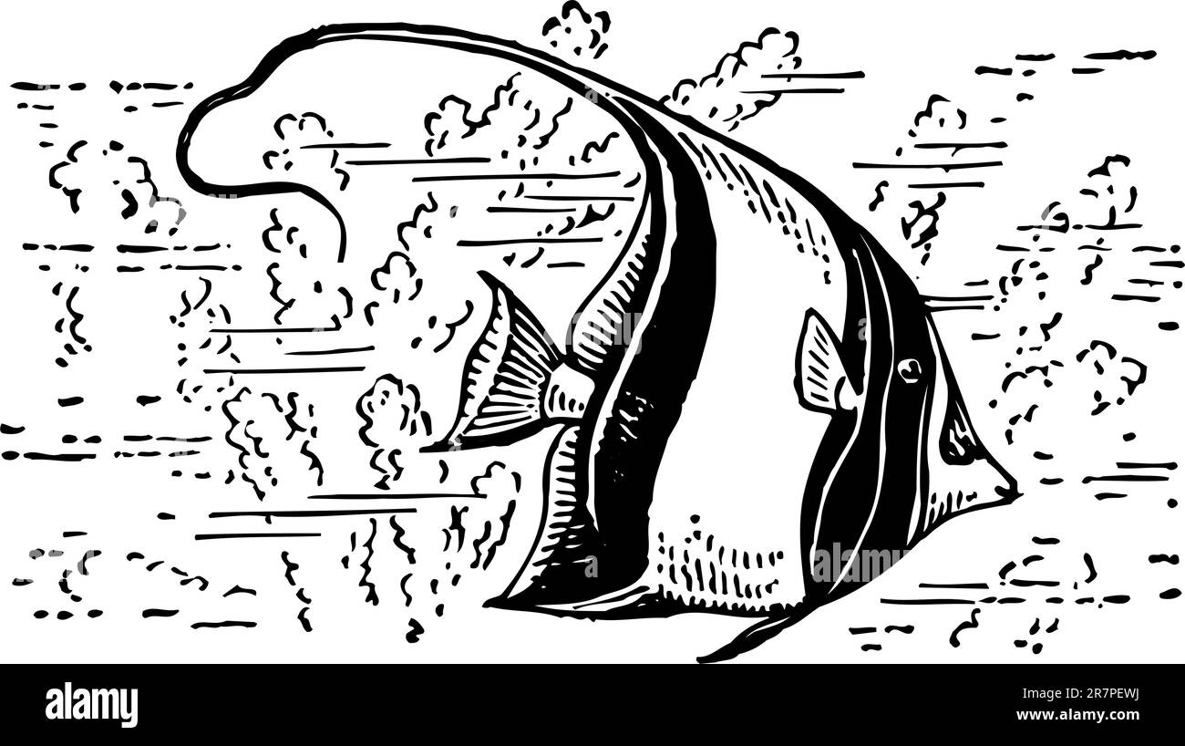 Fish in the sea Stock Vector Image & Art - Alamy