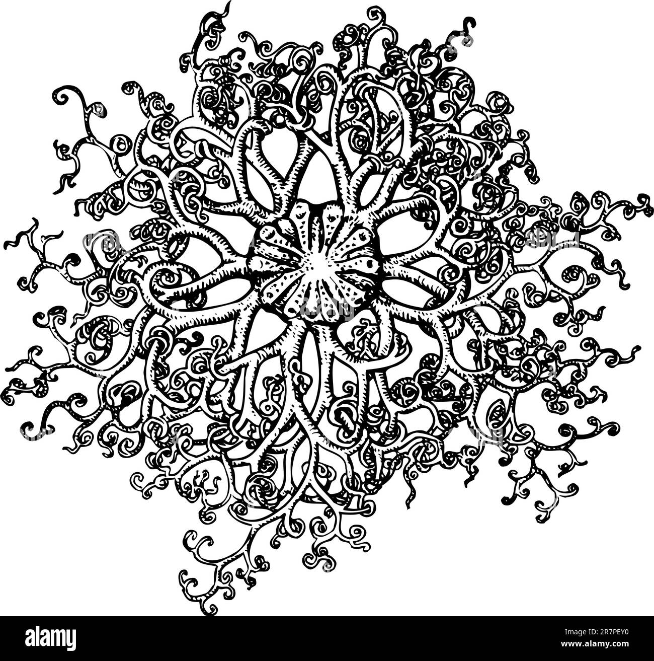 Sea sponge isolated on white Stock Vector Image & Art - Alamy