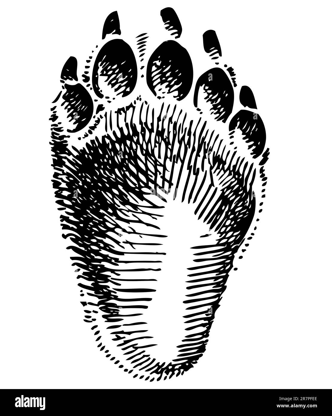 Steps icon on white Stock Vector Images - Alamy