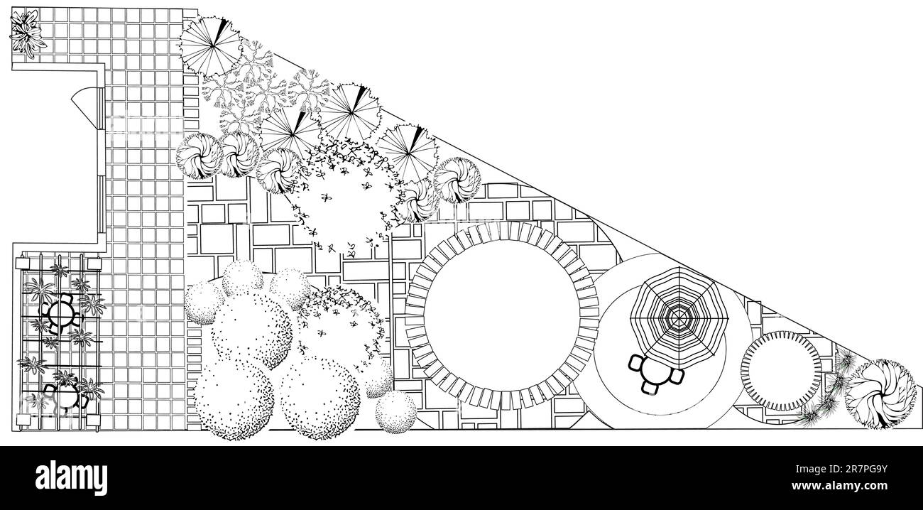 Plan of garden decorative plants black and white Stock Vector Image ...