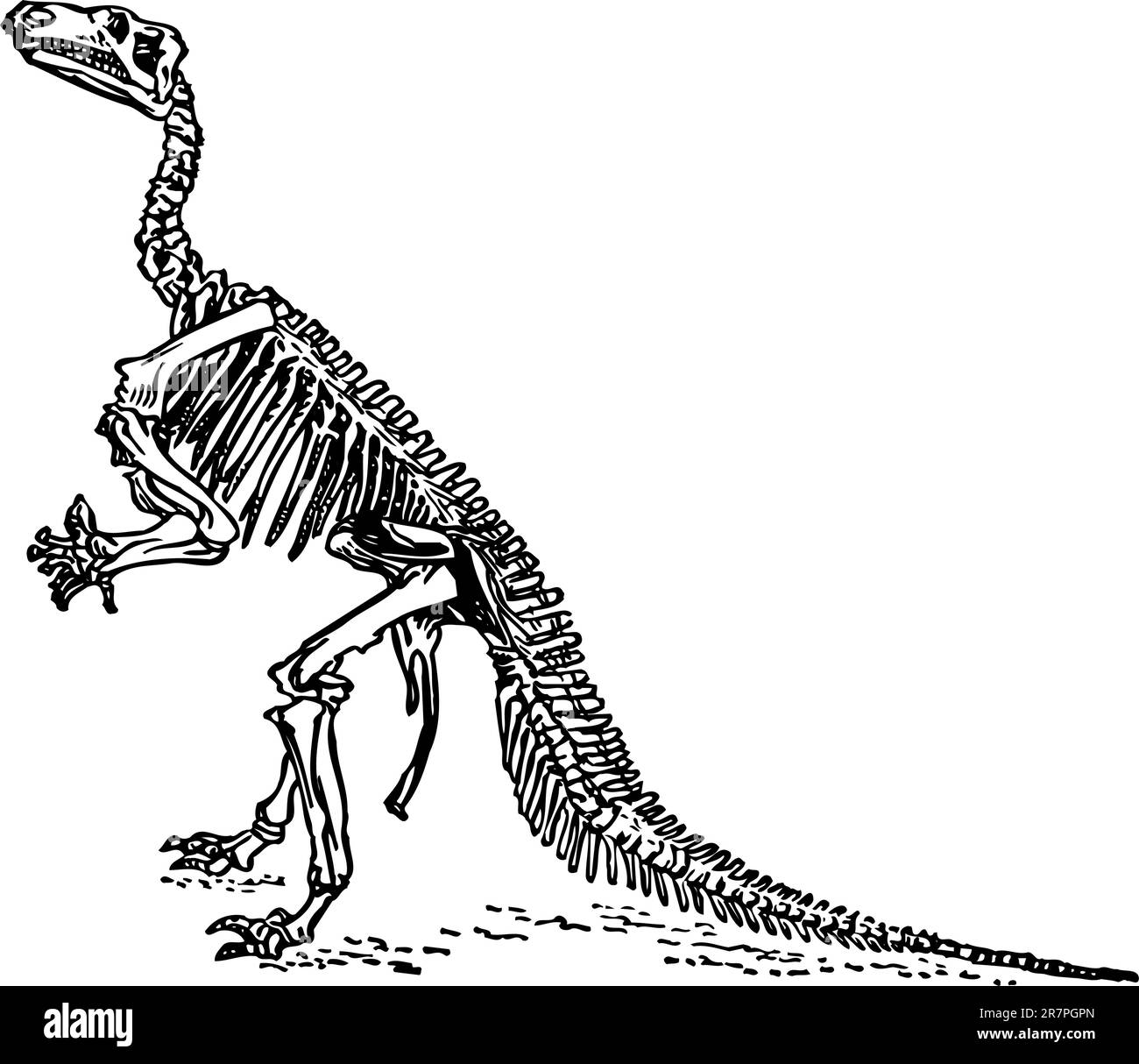 Death animal Cut Out Stock Images & Pictures - Alamy